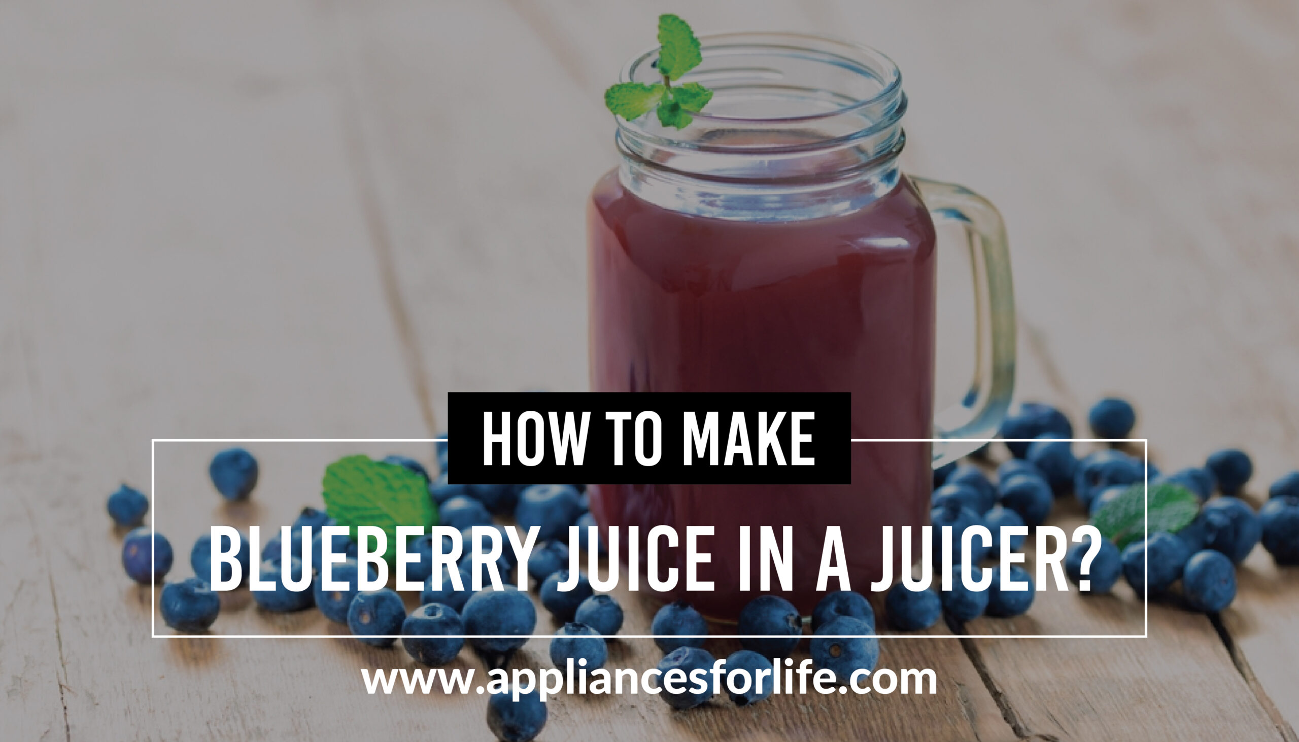 How To Make Blueberry Juice In A Juicer – Appliances For Life