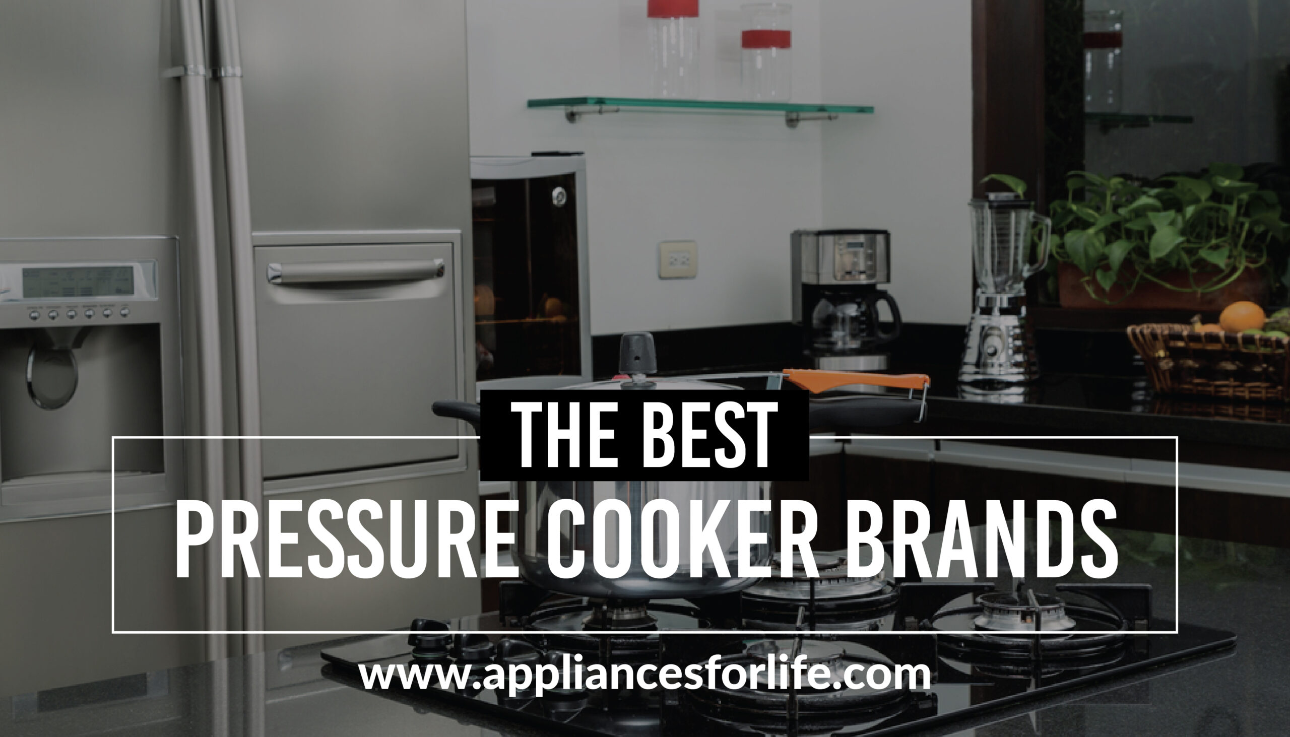 The Best Pressure Cooker Brands - Appliances For Life