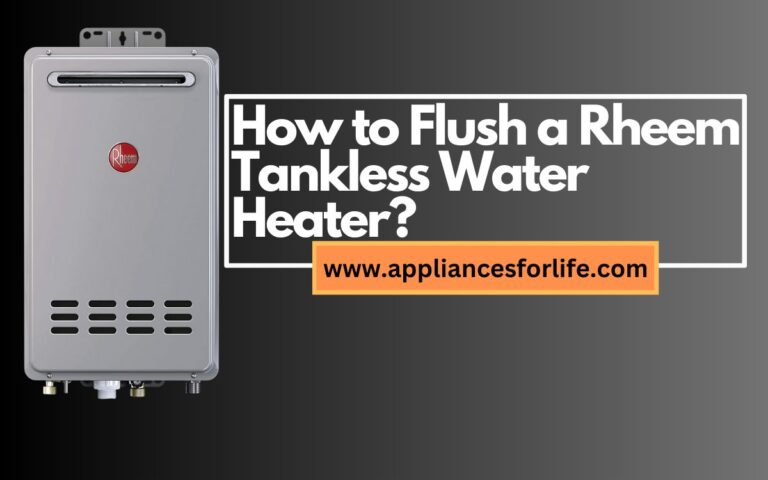 How to Flush a Rheem Tankless Water Heater - Appliances For Life